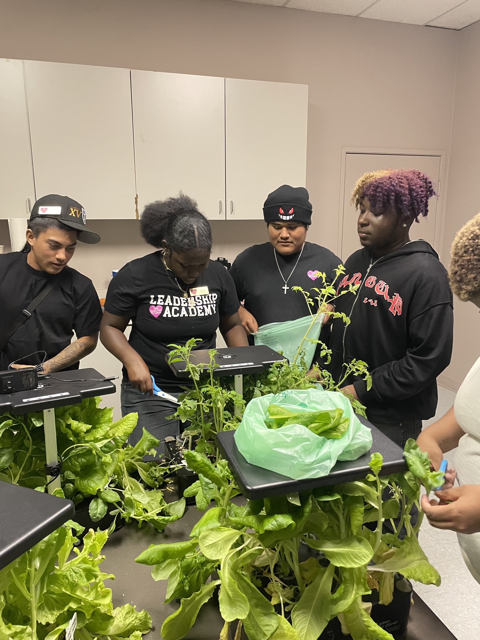 Just One Project Youth Now Have Access to Green Our Planet's ...